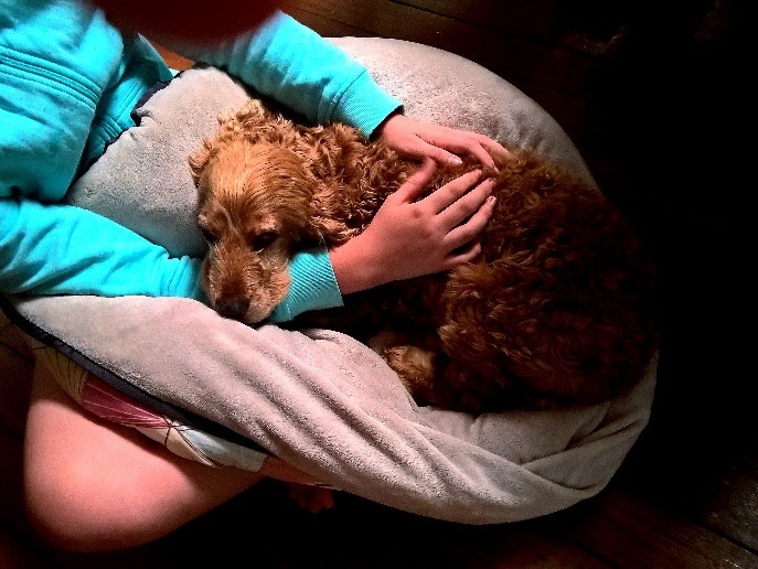 Pets’ Quality Time with their Humans • SEA Wave